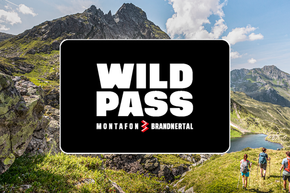 Summer WildPass I WildPass